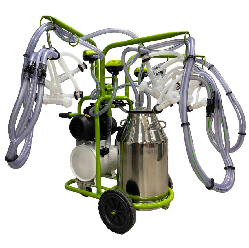 Pagina Principala - AgroZootehnie.md